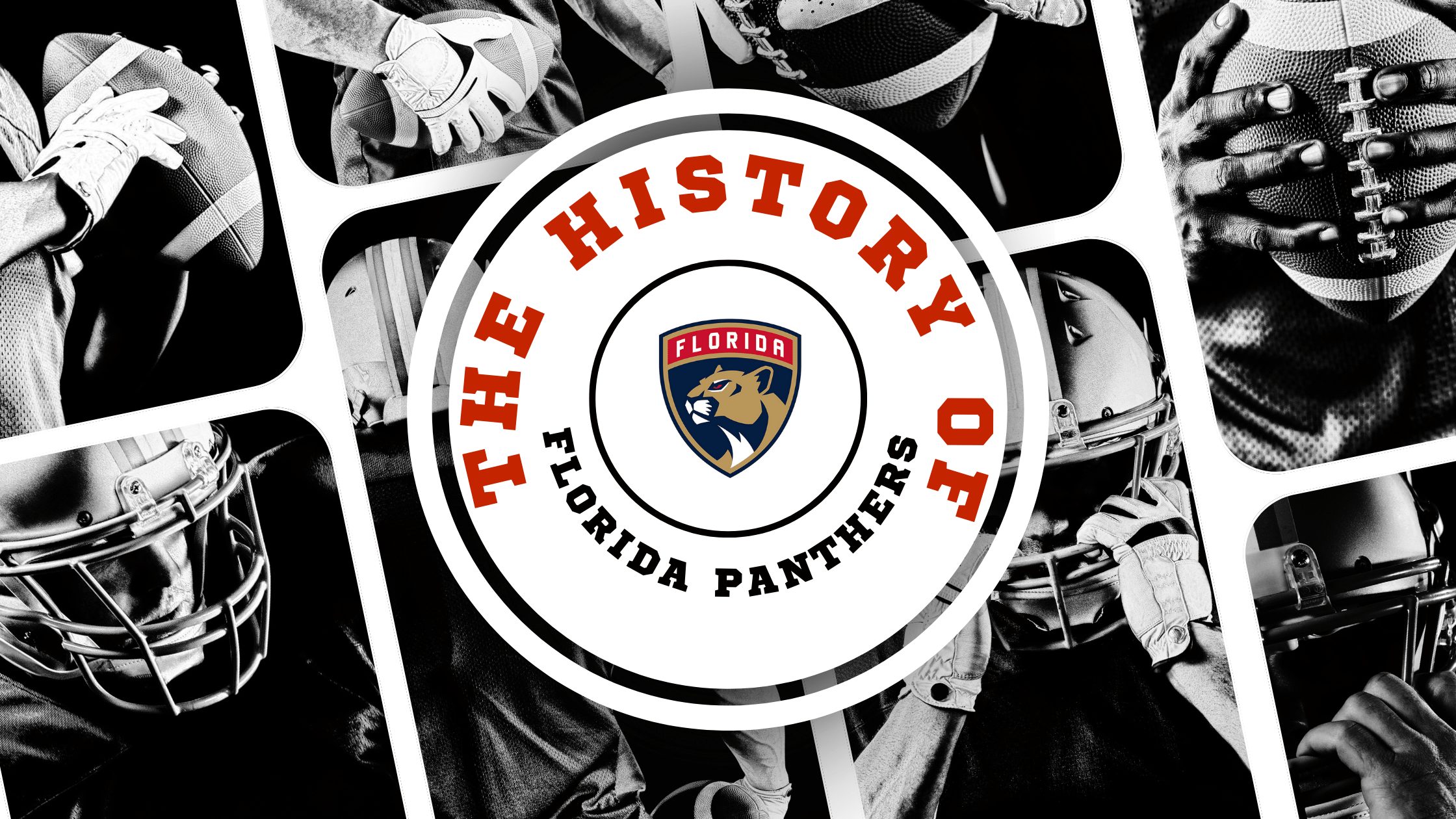 The History of the Florida Panthers. The Florida Panthers - True Sports Fan